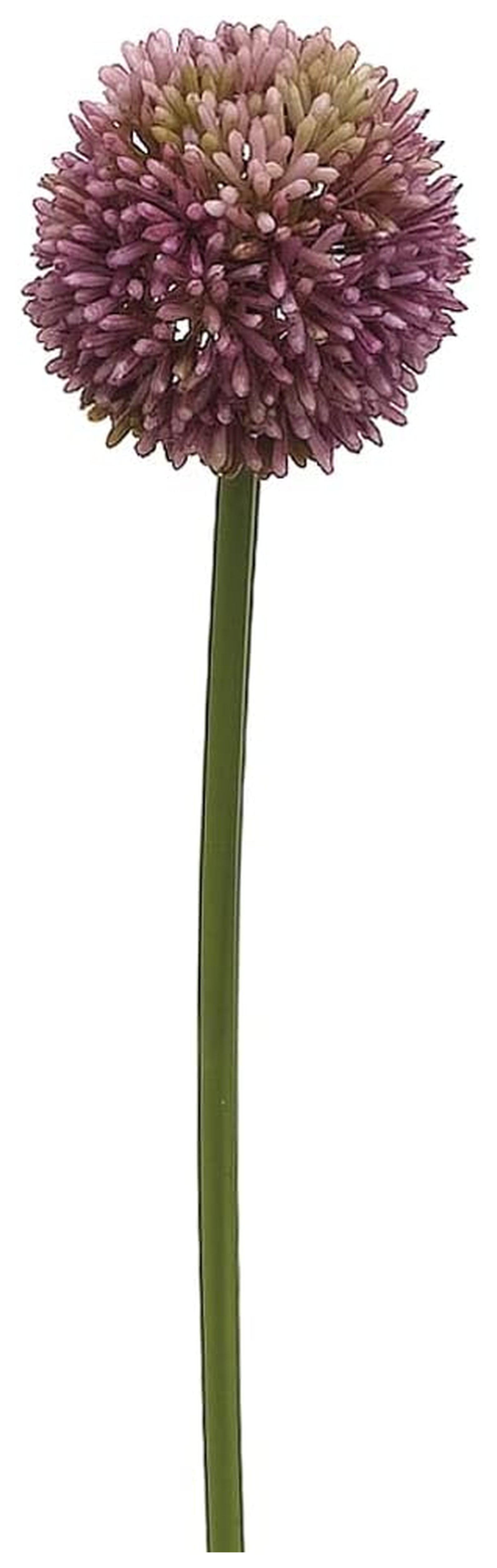 21.5" Allium Spray Lavender (Pack of 12) - Walmart.com