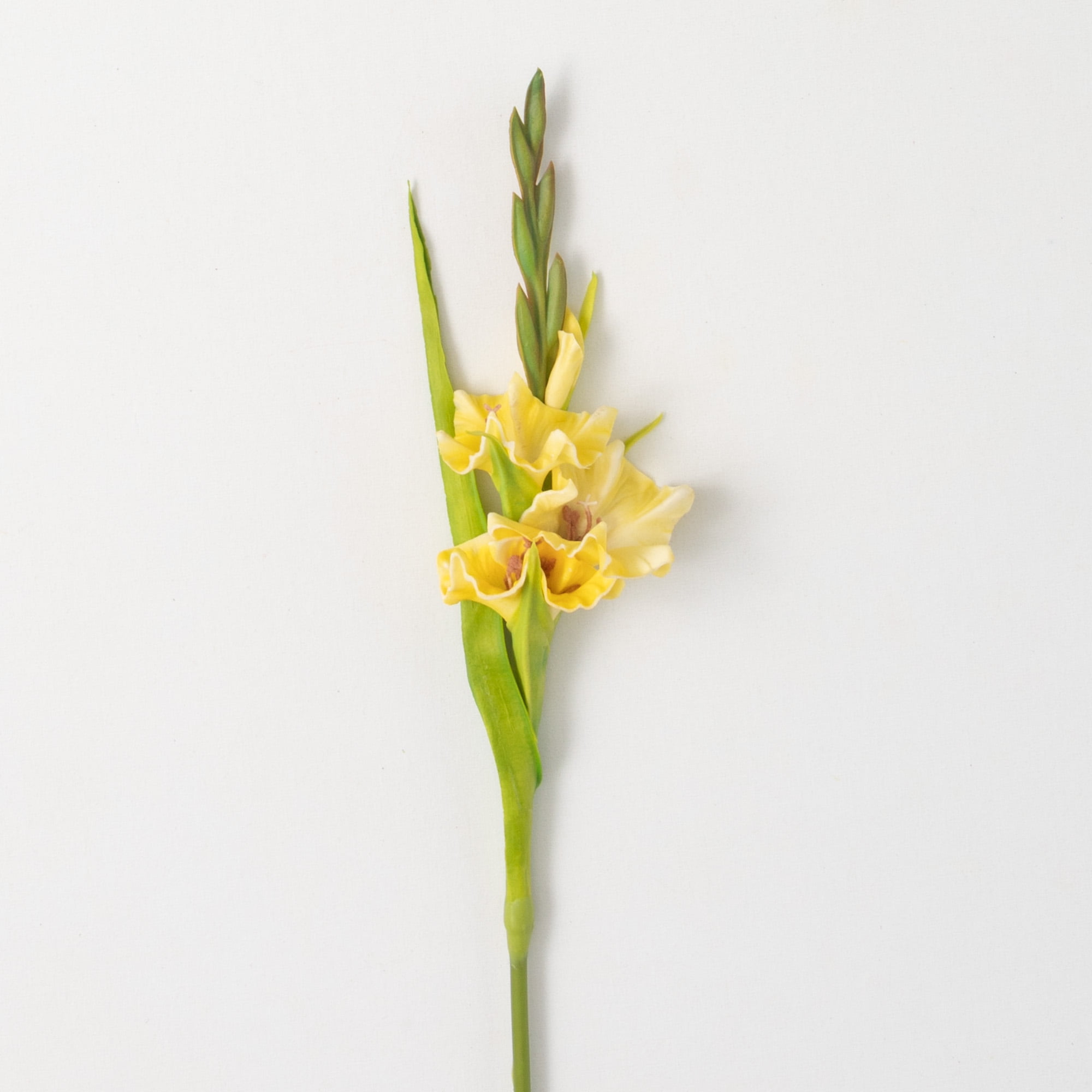 21.5"H Sullivans Cheery Bright Yellow Gladiola, Yellow - Walmart.com