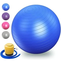 SPRI Weighted Stability Exercise Ball, 55cm, Blue - Walmart.com