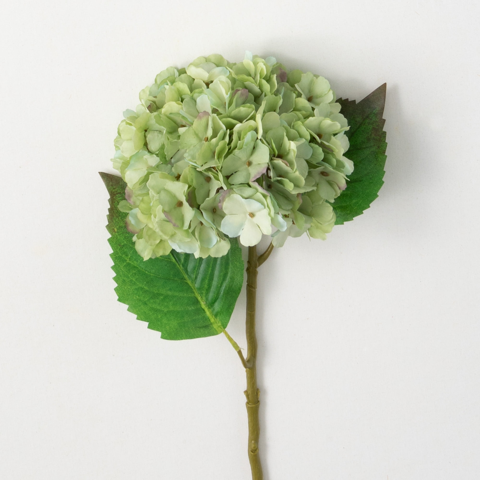 21"H Sullivans Blooming Green Hydrangea, Green - Walmart.com
