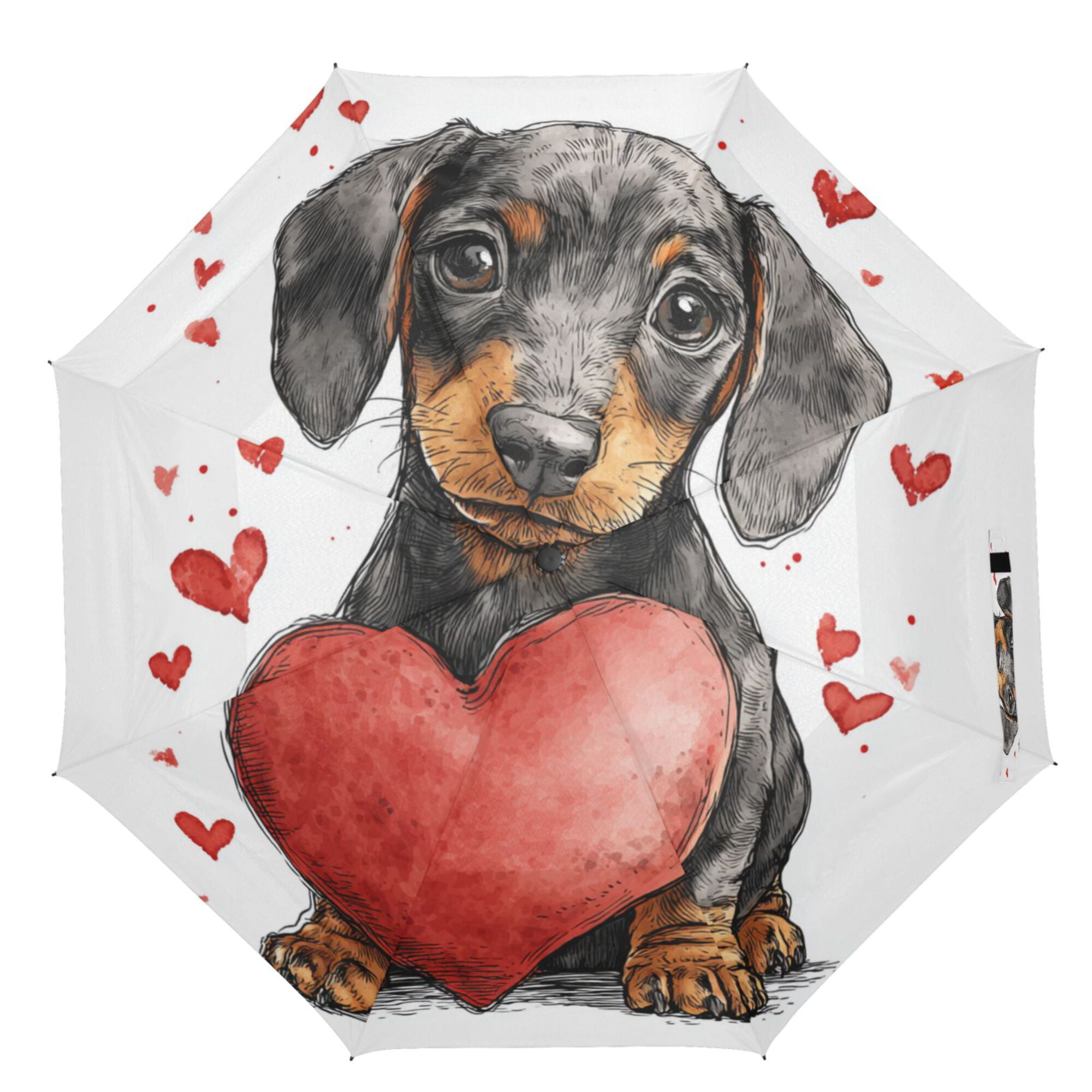 21" Inch Auto Open Close Folding Umbrella Windproof Waterproof Full ...