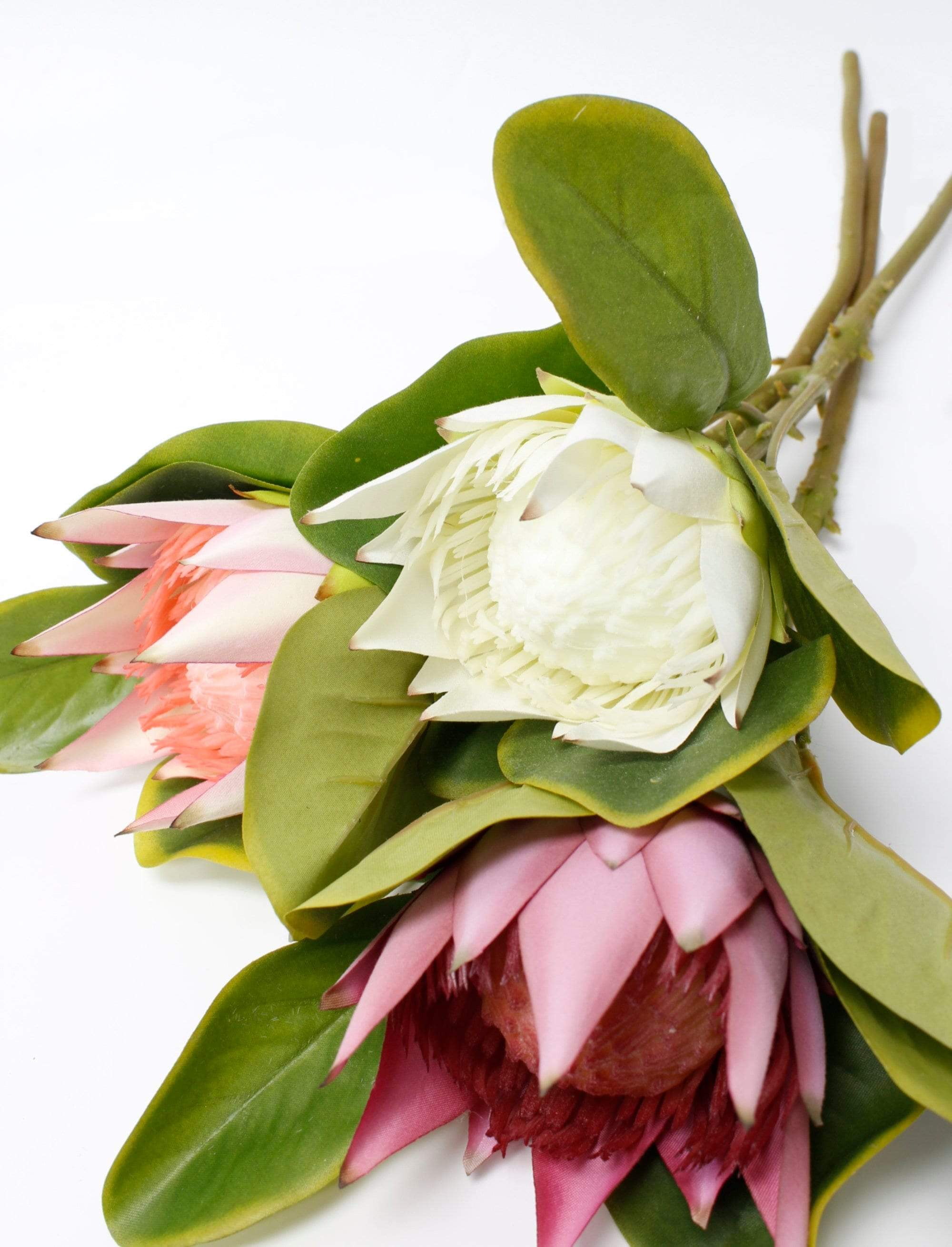 21" Ivory Blush & Dusty Pink King Protea Stems - 2 Pack, Real Touch Leaves & Silk Flowers ...