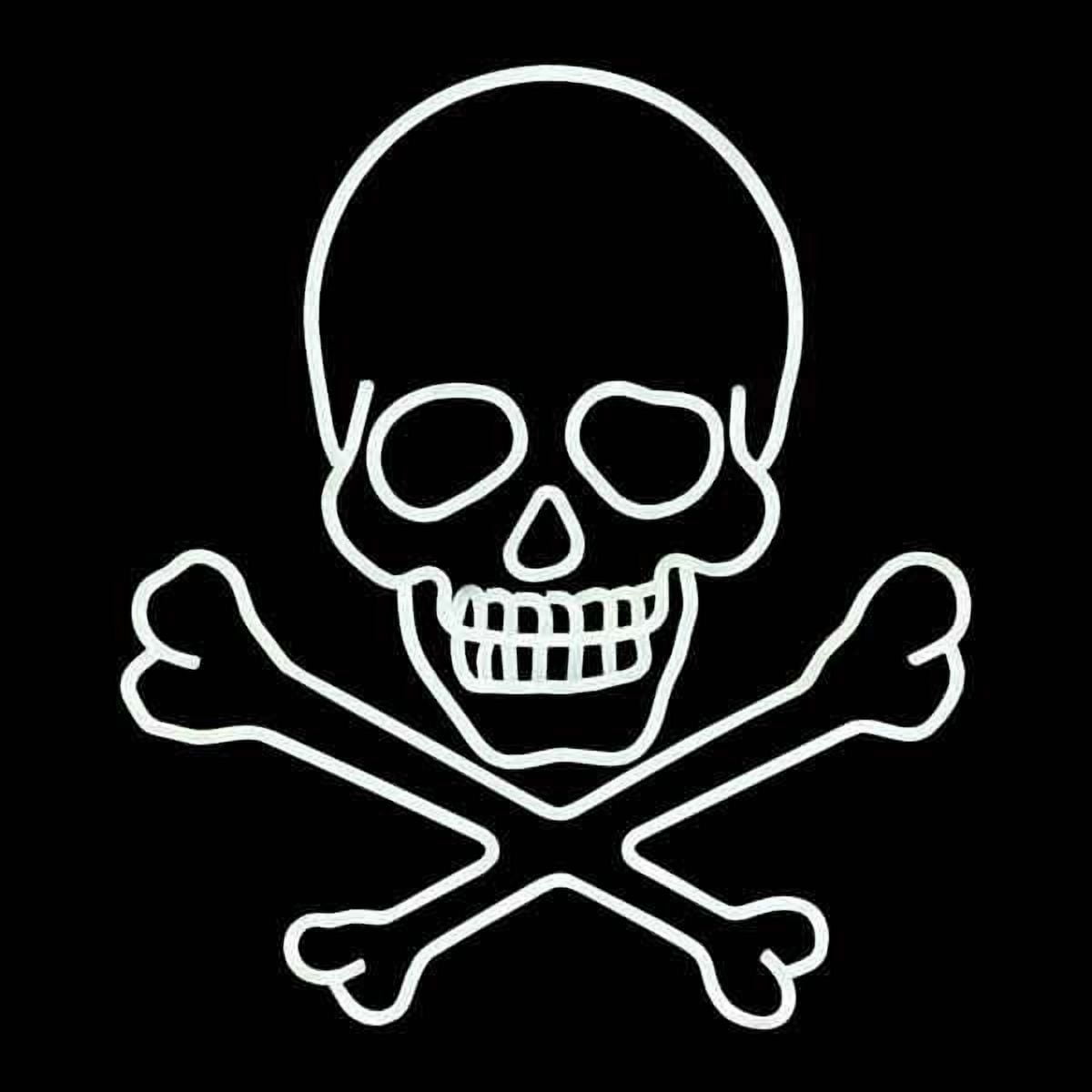 21" LED Neon Halloween Skull & Crossbones Silhouette Motif Display ...
