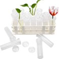 21 Pack 60ml Large Floral Tubes with Rack Holder for Milkweed Cuttings ...