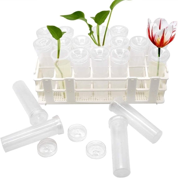 21 Pack 60ml Large Floral Tubes with Rack Holder for Milkweed Cuttings ...