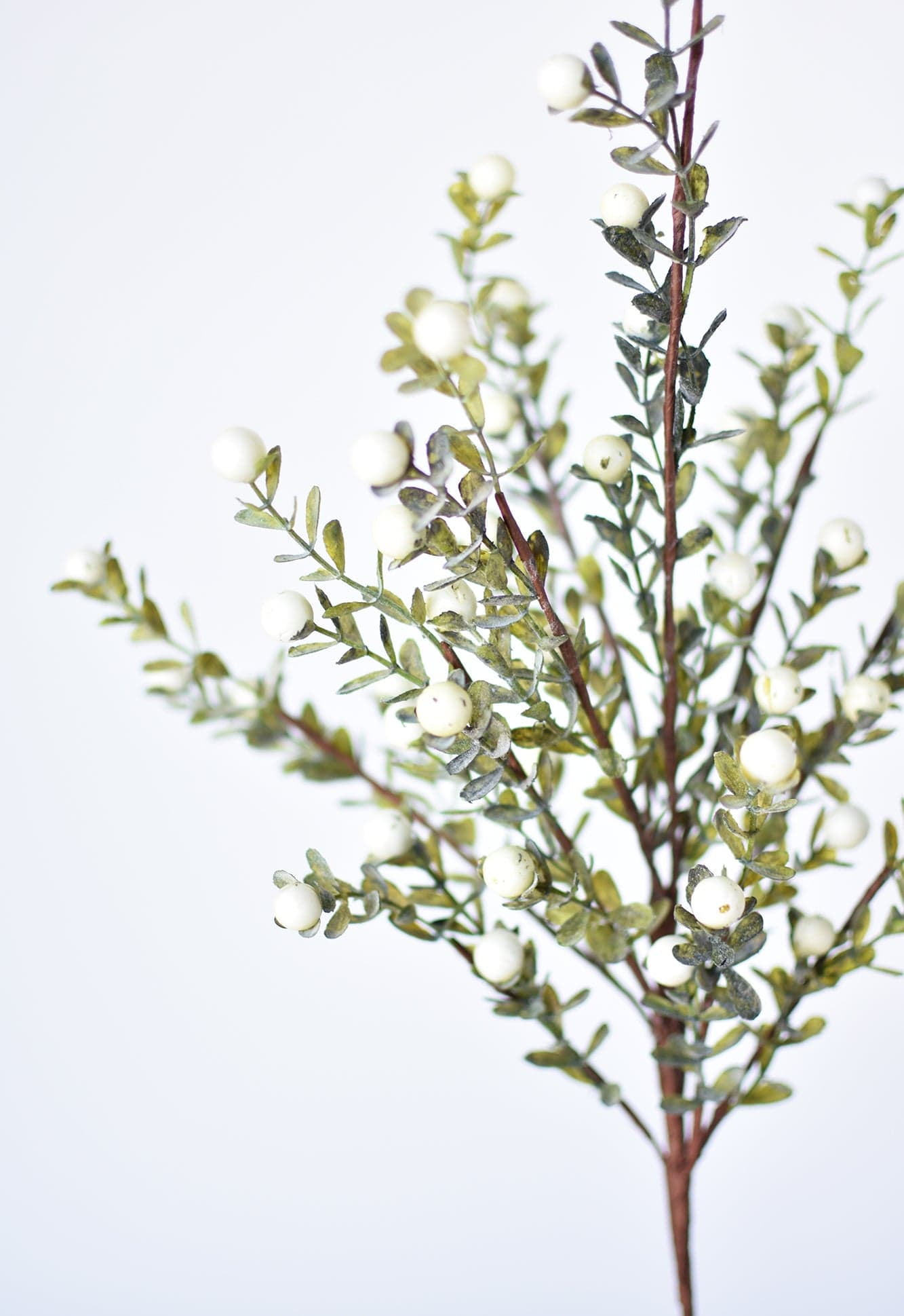 21” White Berry Boxwood Greenery Stem - Walmart.com