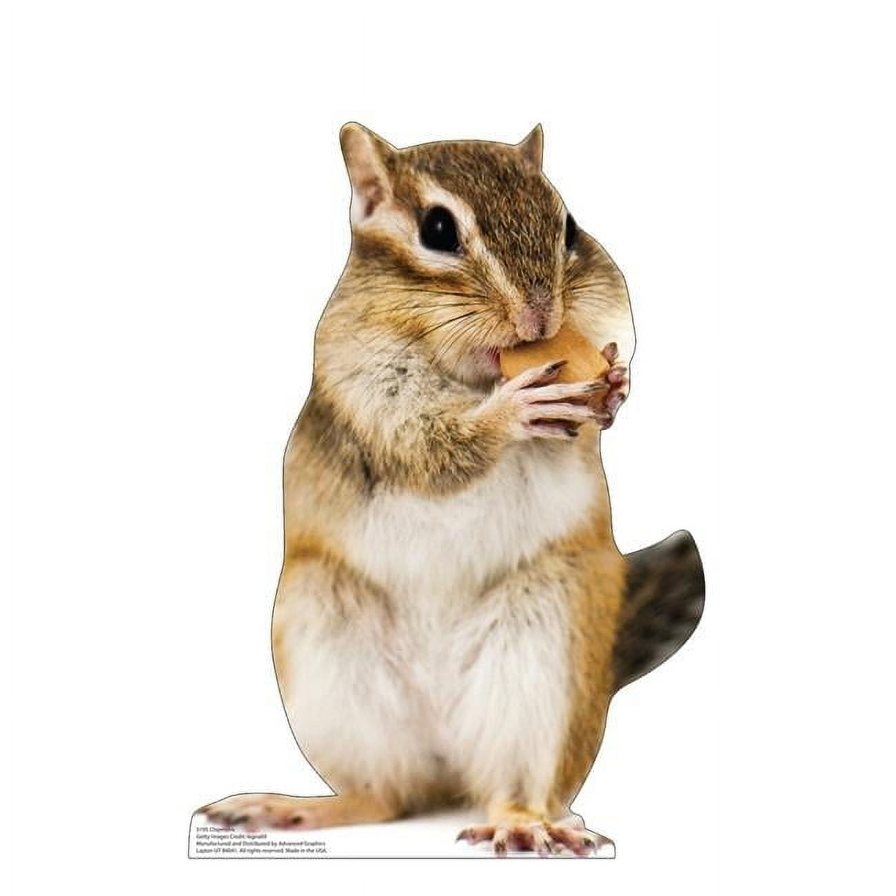 21 x 14 in. Chipmunk Life-Size Cardboard Cutout - Walmart.com
