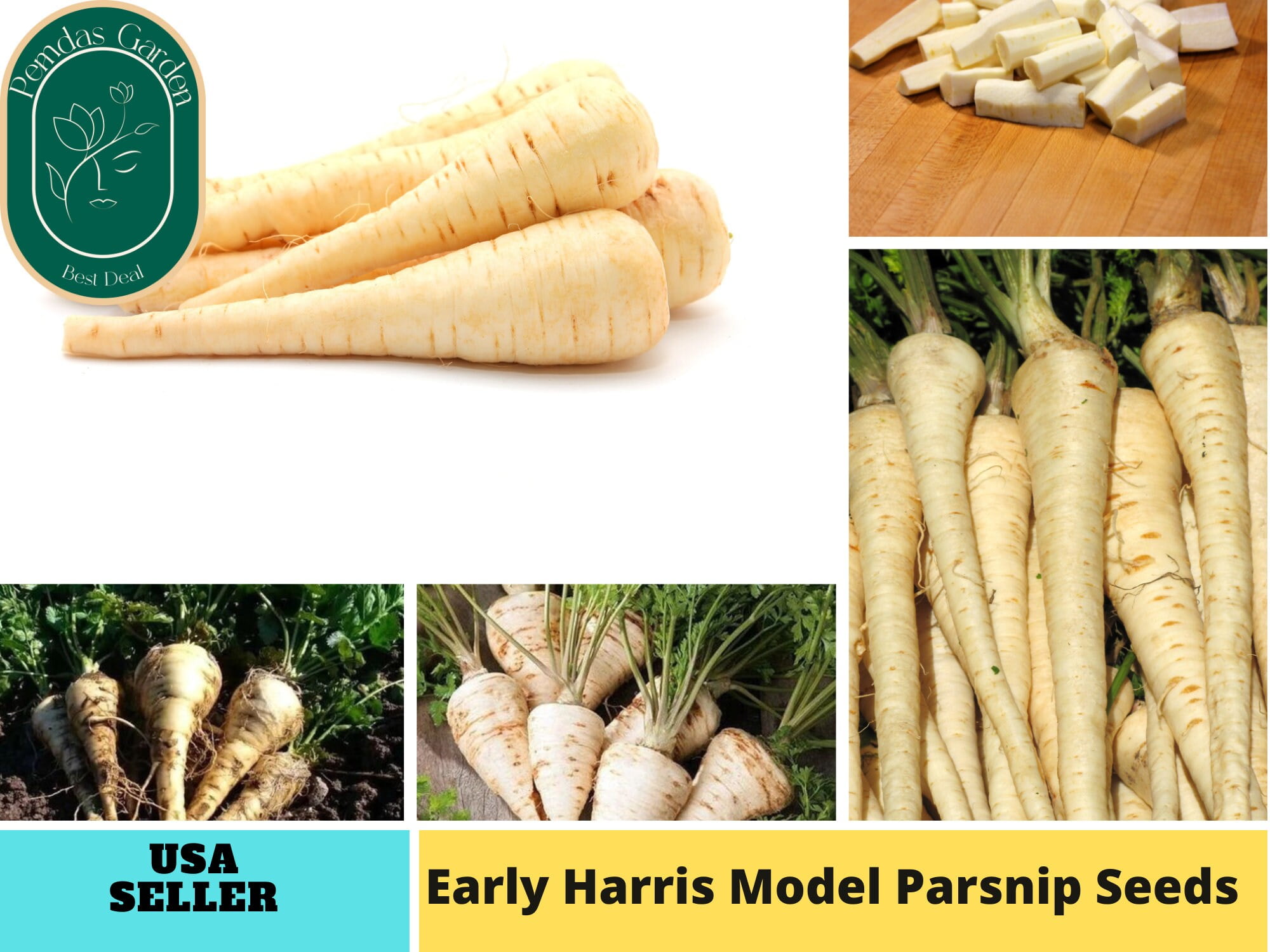 210 Seeds| Early Harris Model Parsnip Seeds, - Authentic Seeds ~ GMO ...