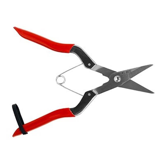 210 cm Fruit Harvester & Thinning Shear with wishbone Spring - Pack of ...