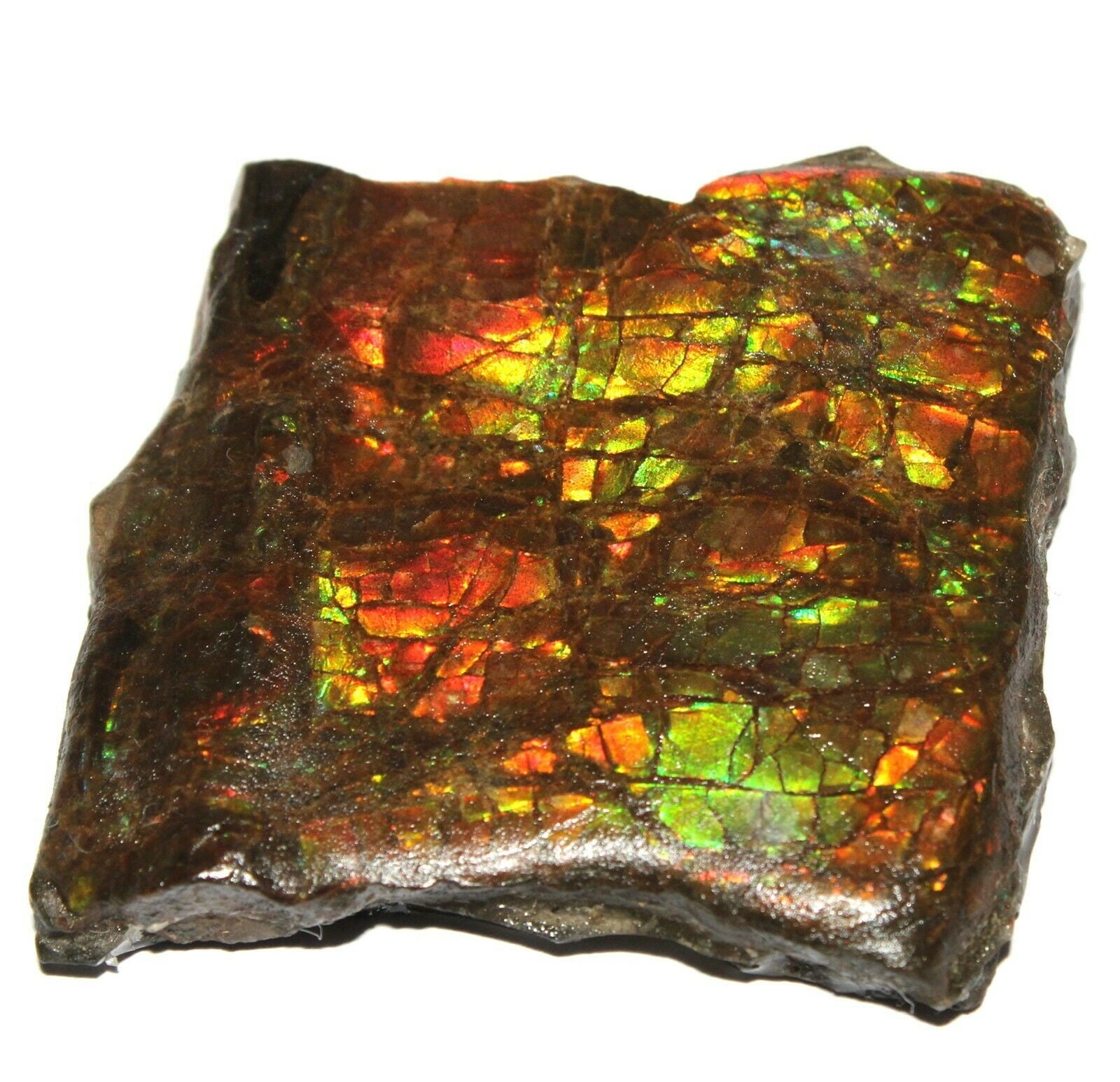 211.40Cts Natural Red & Green Ammolite Earth Mineral Rock Rough Raw ...