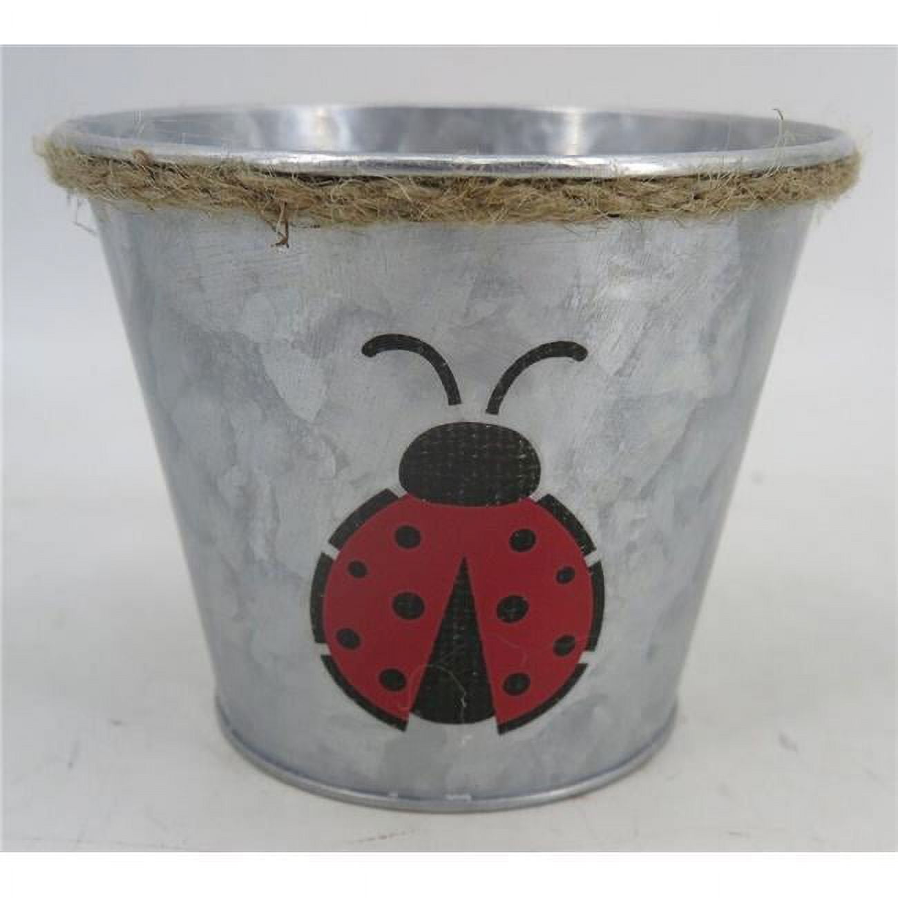 212 Main AI-GA3500-421 Silver with Red Ladybug 1 Planter - Walmart.com
