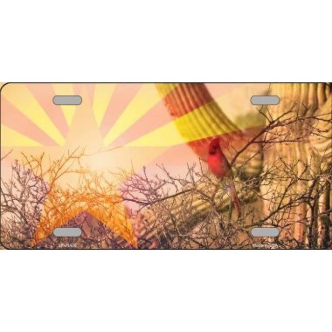 212 Main LP-11436 6 x 12 in. Arizona State Flag Overlay on Cardinal ...