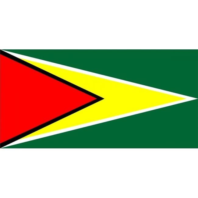 212 Main LPO1318 Guyana Flag Photo License Plate - Walmart.com