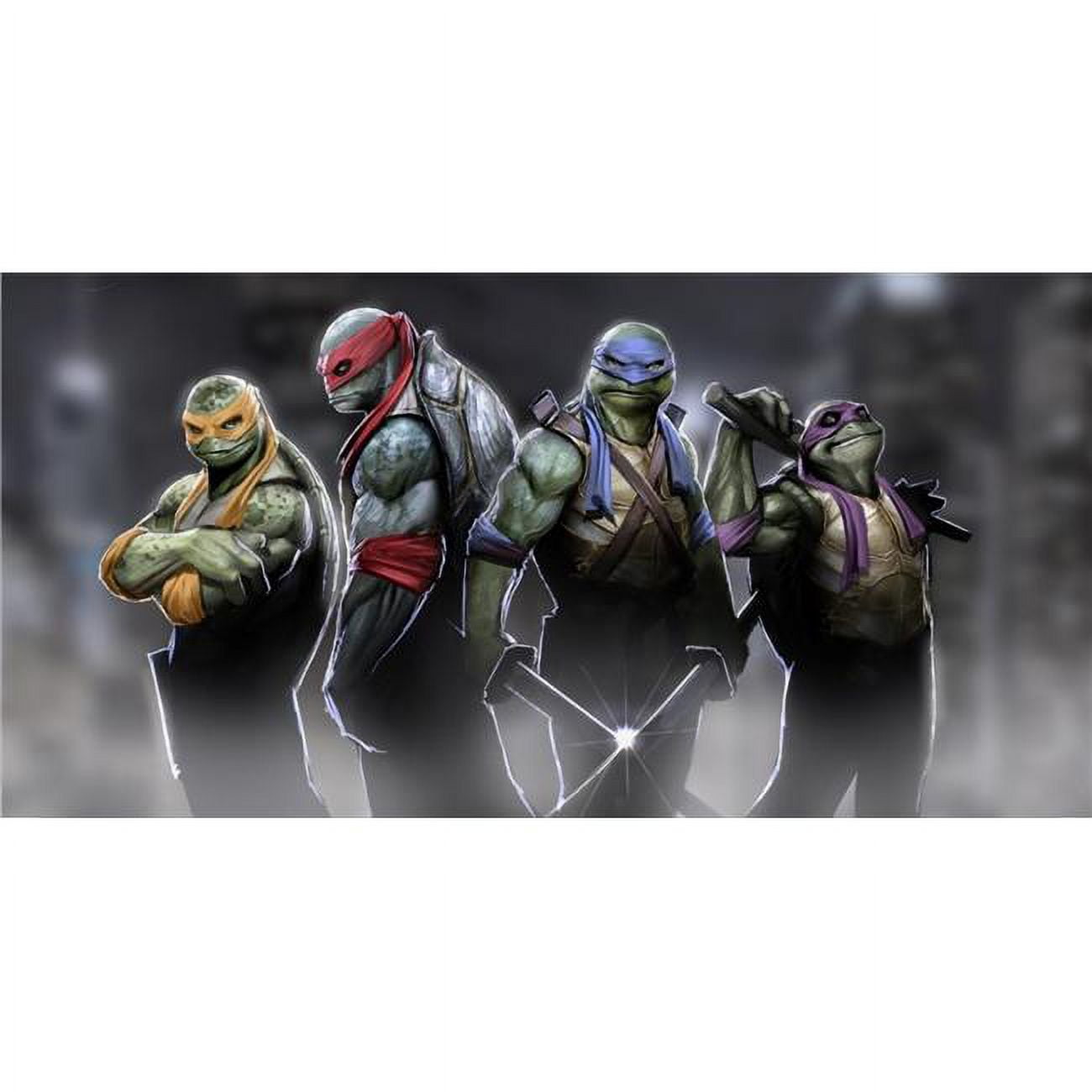 212 Main LPO1406 Teenage Mutant Ninja Turtles Photo License Plate ...