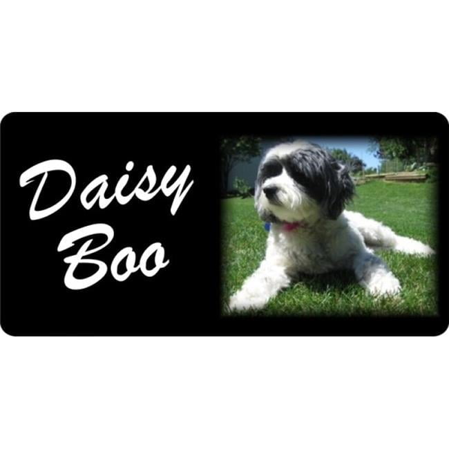 212 Main LPO1418 Personalized Tibetan Terrier Photo License Plate ...