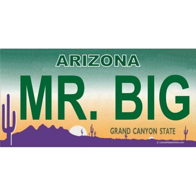 212 Main LPO1592 Arizona Mr. Big Photo License Plate - Walmart.com