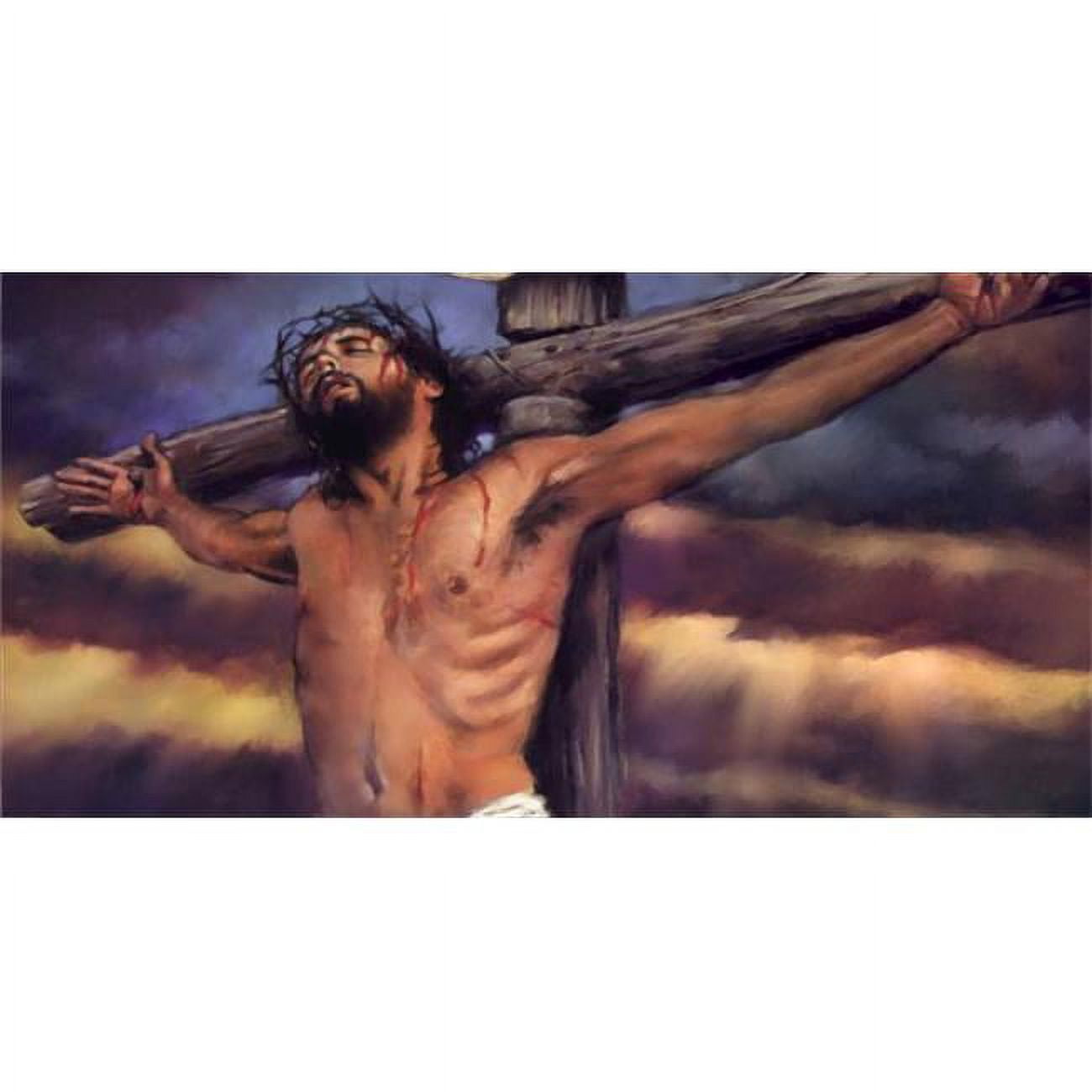 212 Main LPO163 6 x 12 in. Jesus Christ on Cross Photo License Plate ...