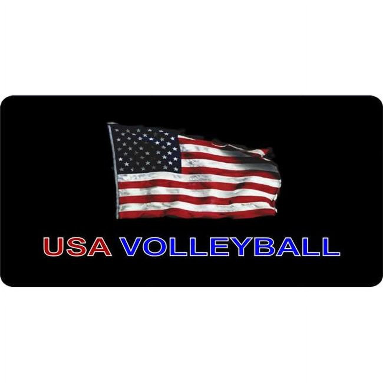 212 Main LPO1659 USA Volleyball Photo License Plate - Walmart.com