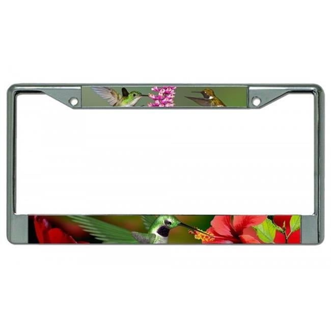 212 Main LPO2075 6 x 12 in. Hummingbirds Chrome Photo License Plate ...