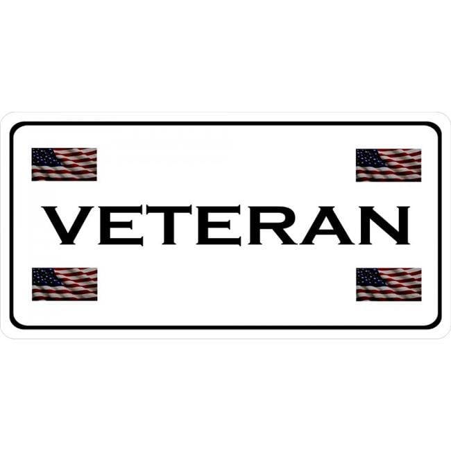 212 Main LPO2739 6 x 12 in. Veteran with American Flags Photo License ...