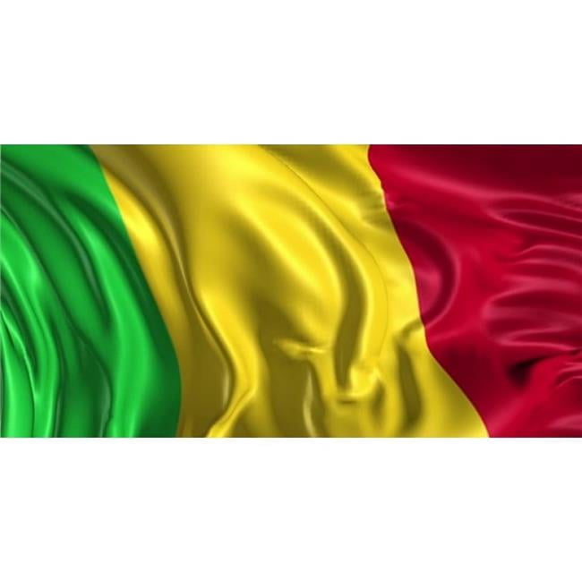 Mali Flag Photo License Plate - Walmart.com
