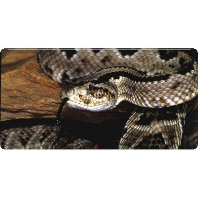 Rattlesnake Photo License Plate - Walmart.com