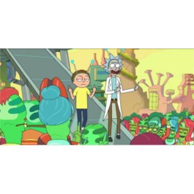 212 Main LPO3586 6 x 12 in. Rick & Morty No.3 Photo License Plate ...