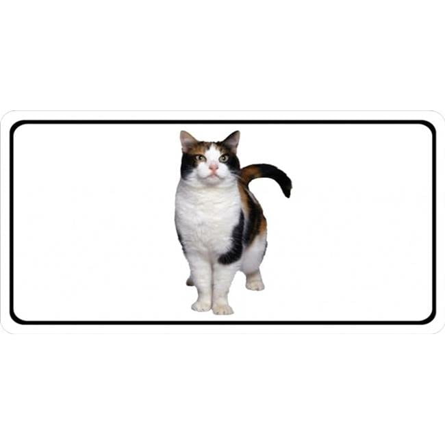 Calico Cat Photo License Plate - Walmart.com