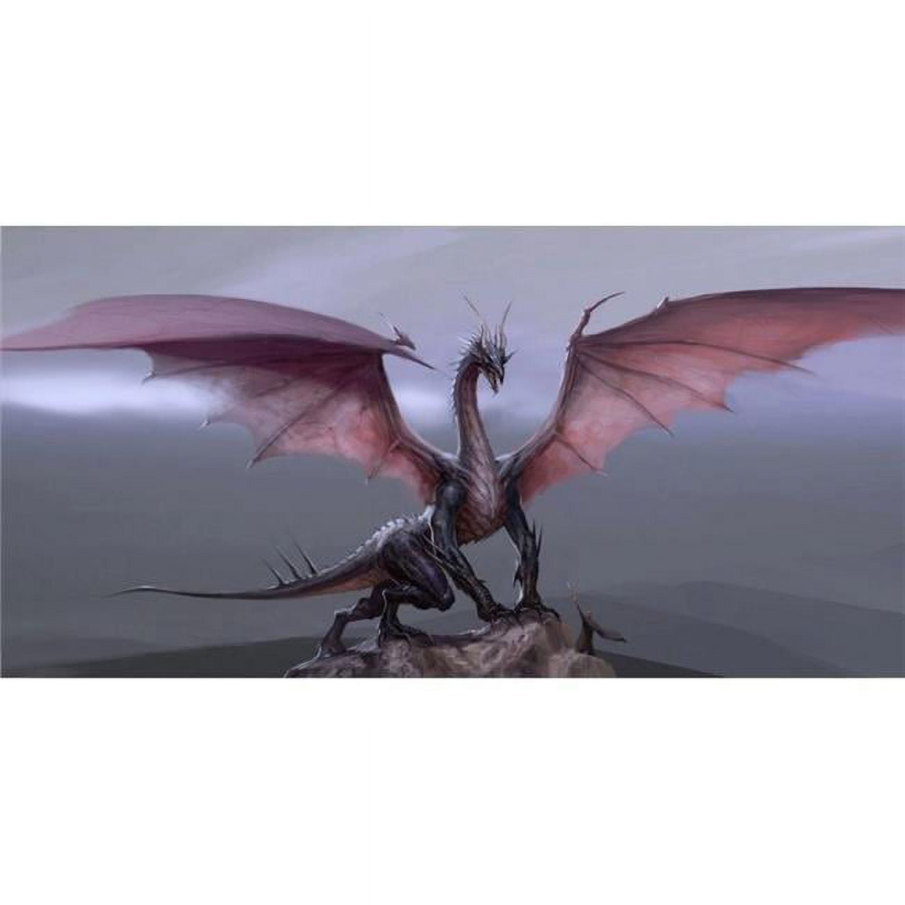 212 Main LPO3667 6 x 12 in. Dragon Perched on Rock Photo License Plate ...