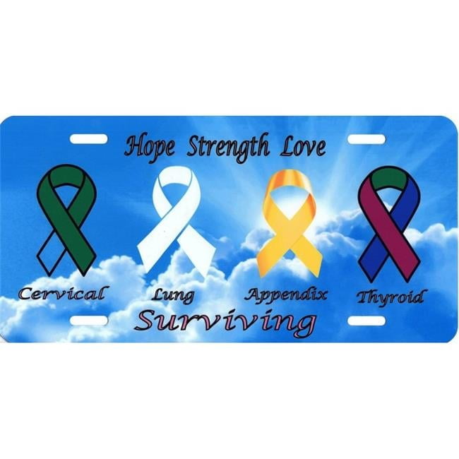 Surviving Cancer Multi Ribbons Photo License Plate - Walmart.com