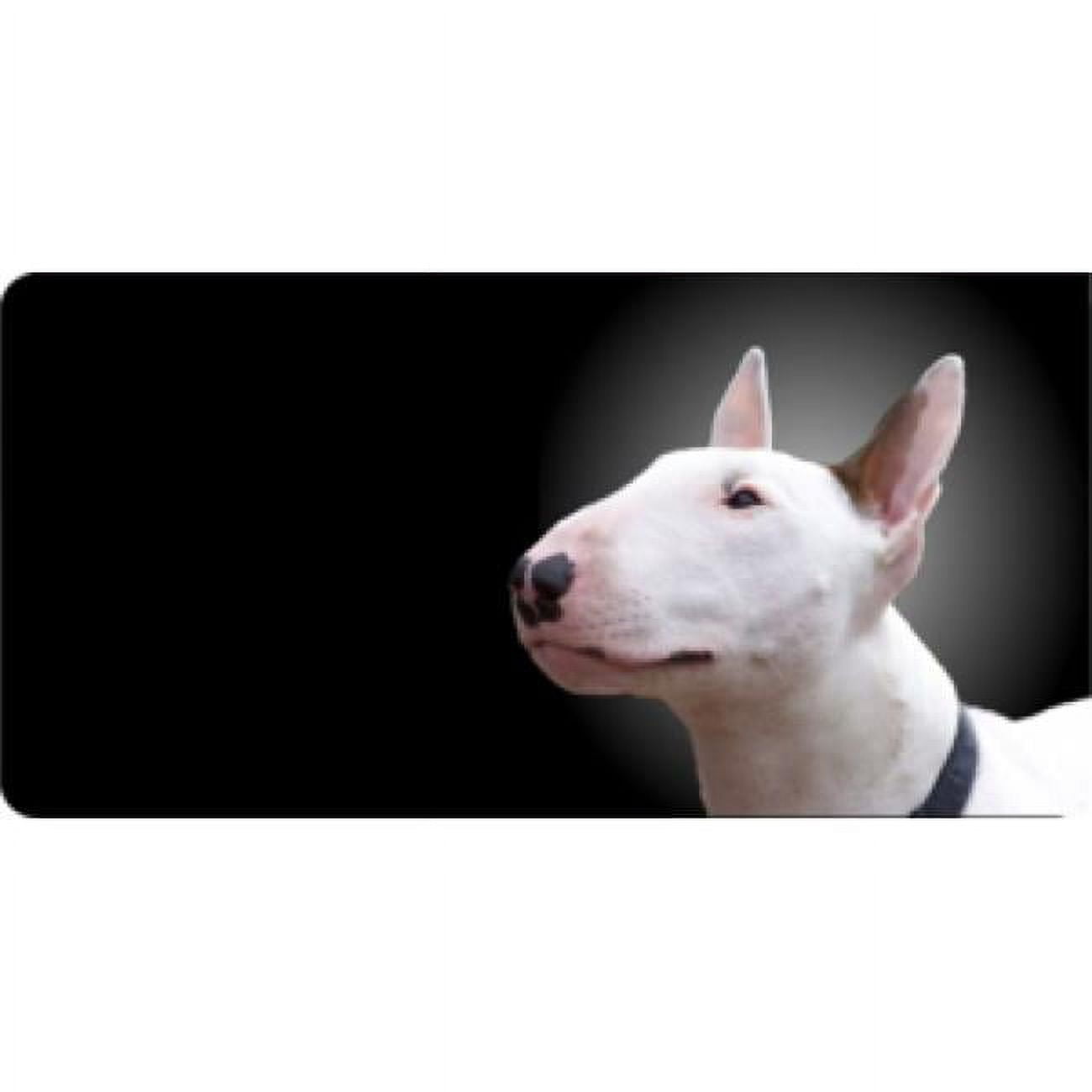 212 Main LPO535 Bull Terrior Dog Photo License Plate - Walmart.com
