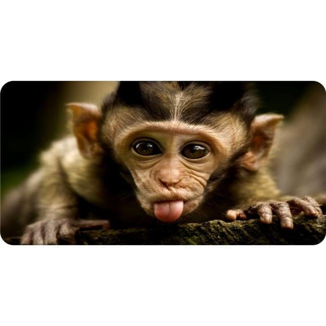 Baby Monkey Sticking Out Tongue Photo License Plate - Walmart.com