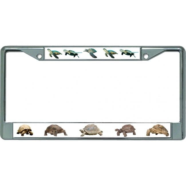 212 Main LPO5499 6 x 12 in. Tortoises & Sea Turtles Chrome License ...