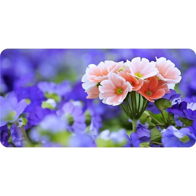 Bavaria Flowers Photo License Plate - Walmart.com