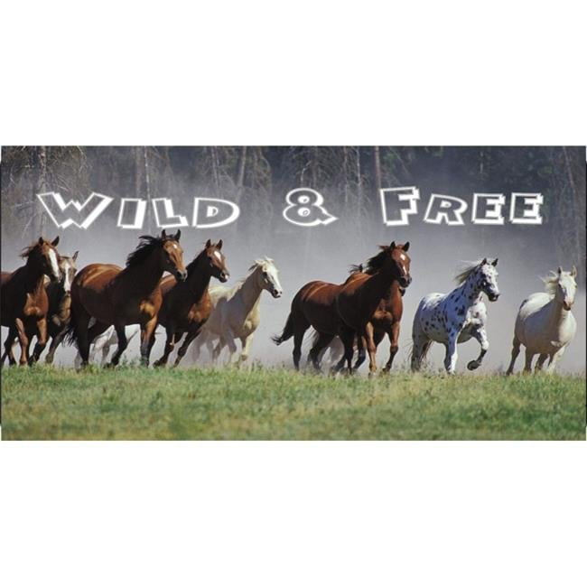 212 Main LPO6634 6 x 12 in. Horses Wild & Free Photo License Plate ...