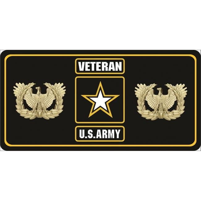 212 Main LPO6981 6 x 12 in. U.S. Army Veteran Warrant Officer Photo ...