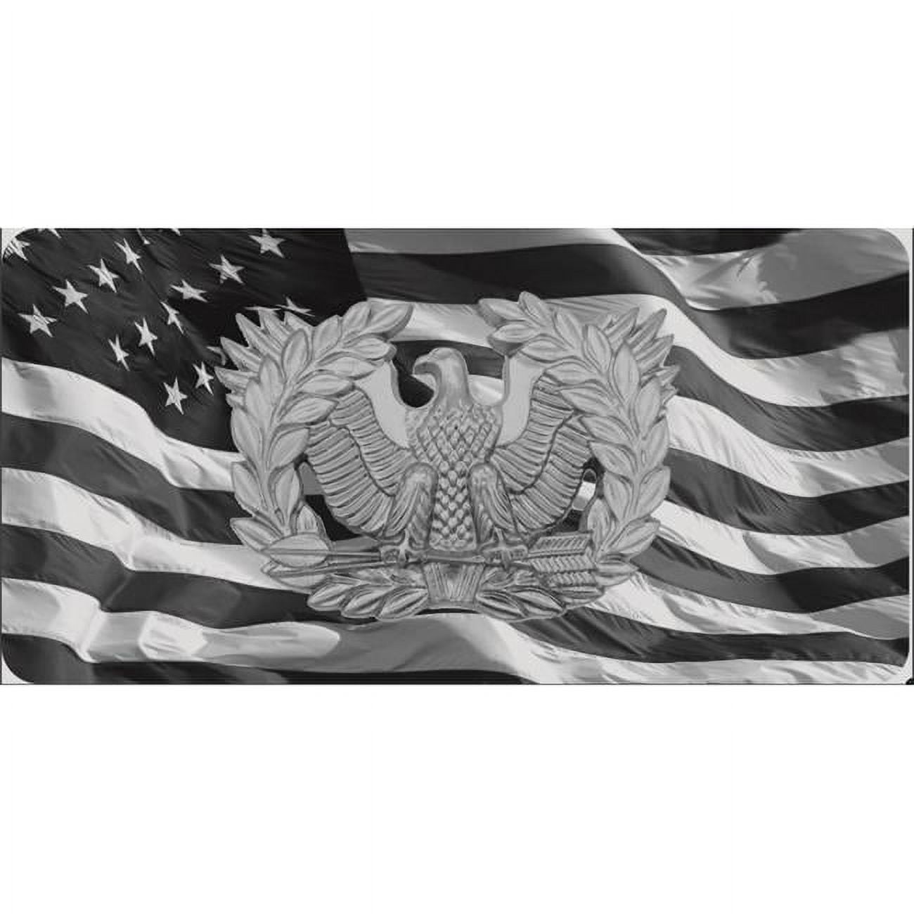 212 Main LPO7023 6 x 12 in. Warrant Officer on U.S. Flag Gray Photo ...