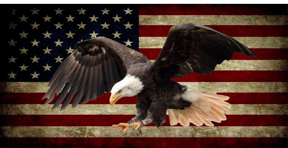 212 Main LPO7387 6 x 12 in. Eagle on Worn U.S. Flag Photo License Plate ...