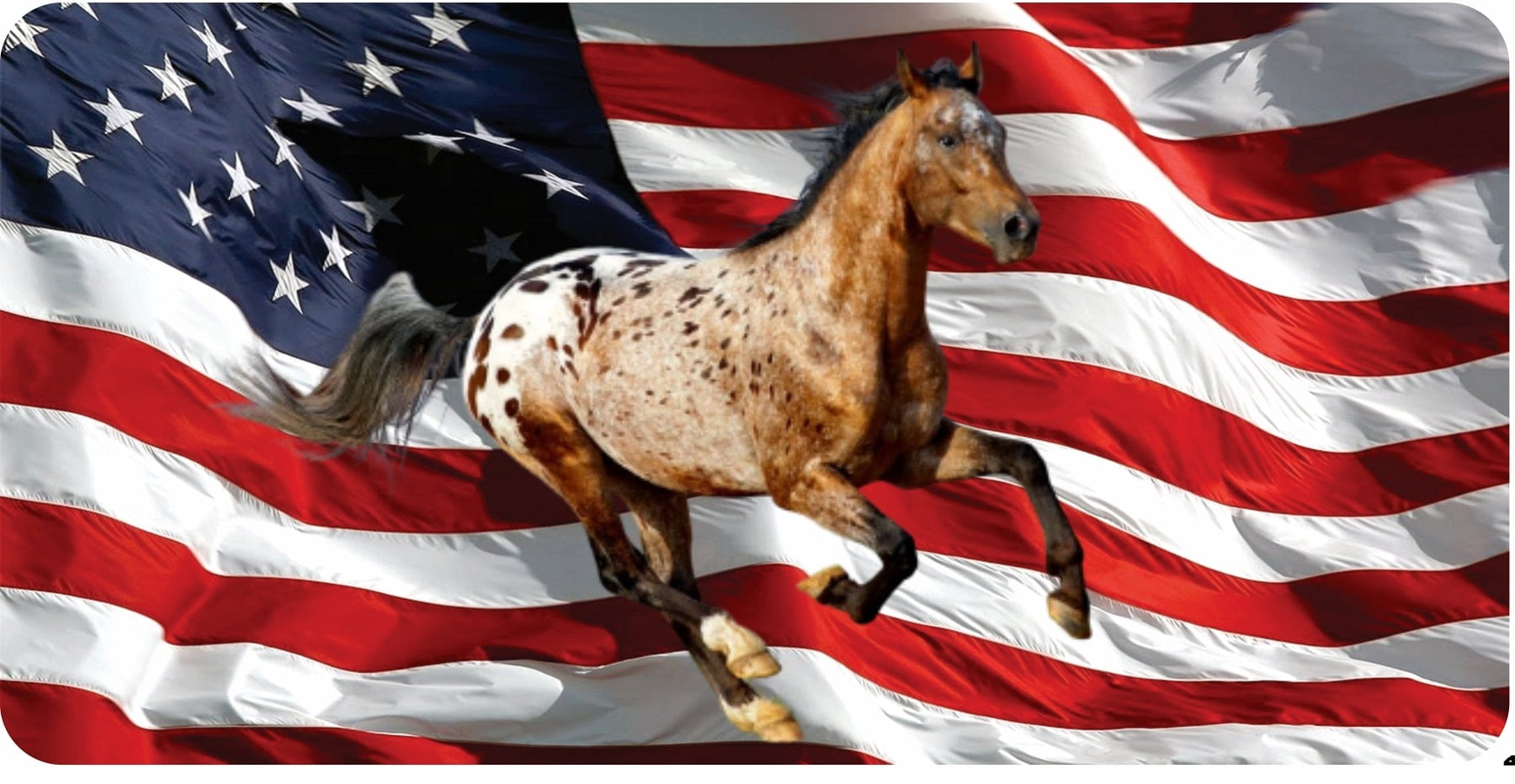 212 Main LPO7840 6 x 12 in. Appaloosa Horse on U.S. Flag Photo License ...