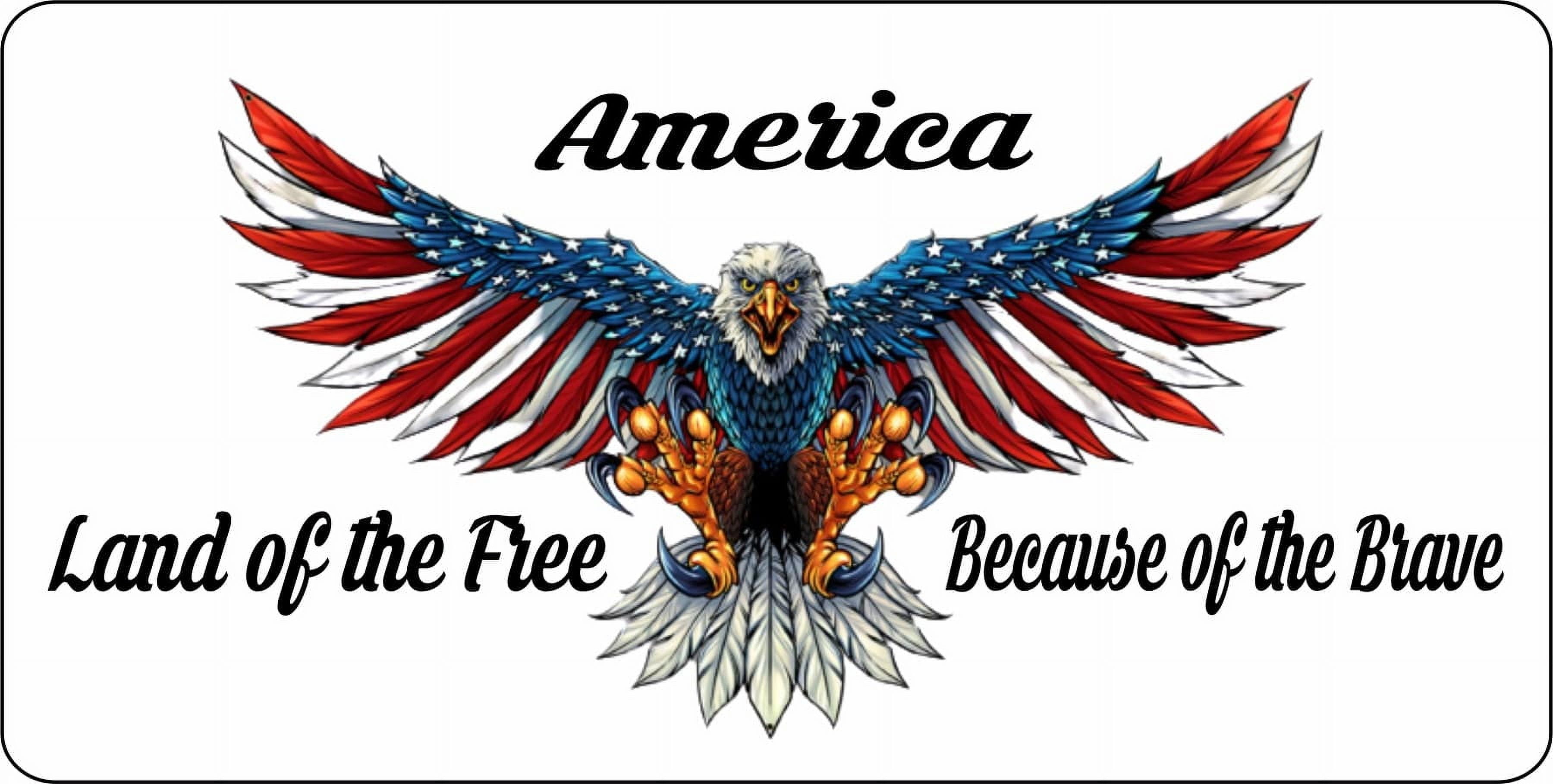 212 Main LPO7958 6 x 12 in. America Land of the Free Because of the ...