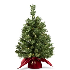 2 Ft Lighted Christmas Trees