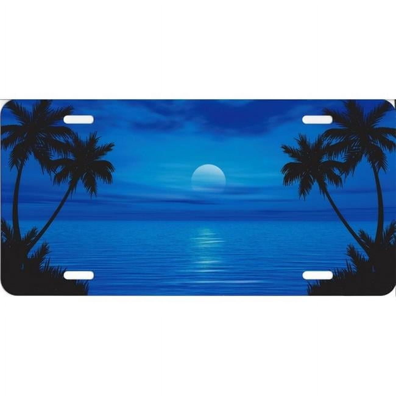 Blue Ocean Scene Palm Moon License Plate - Walmart.com