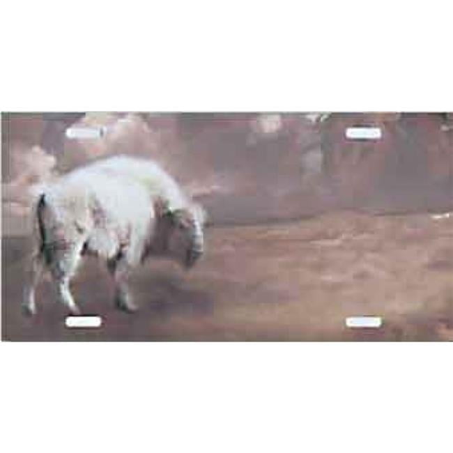 212 Main SM587 6 x 12 in. White Bison on Field License Plate - Walmart.com