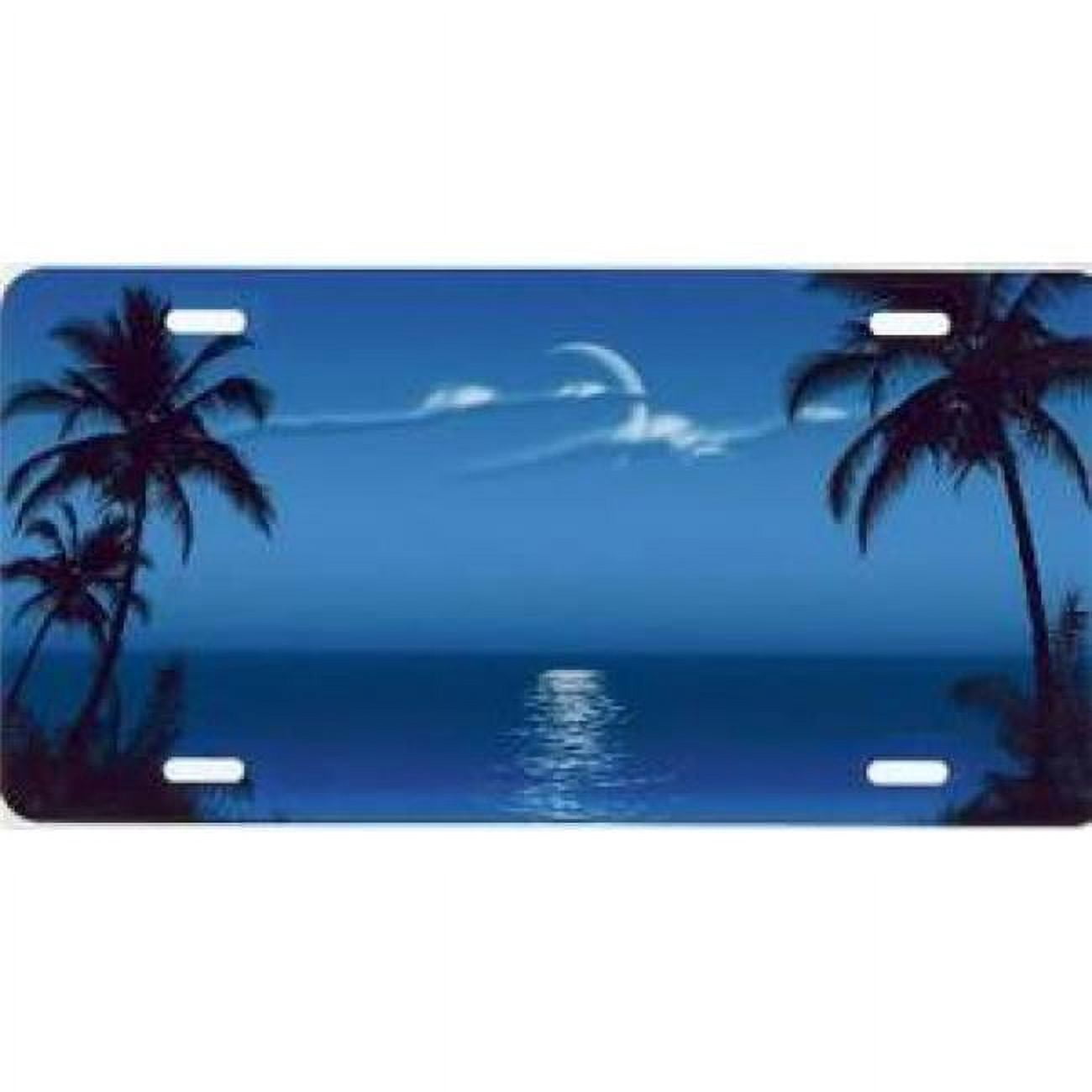 212 Main T2025I 6 x 12 in. Light Blue Scenic License Plate, Free ...