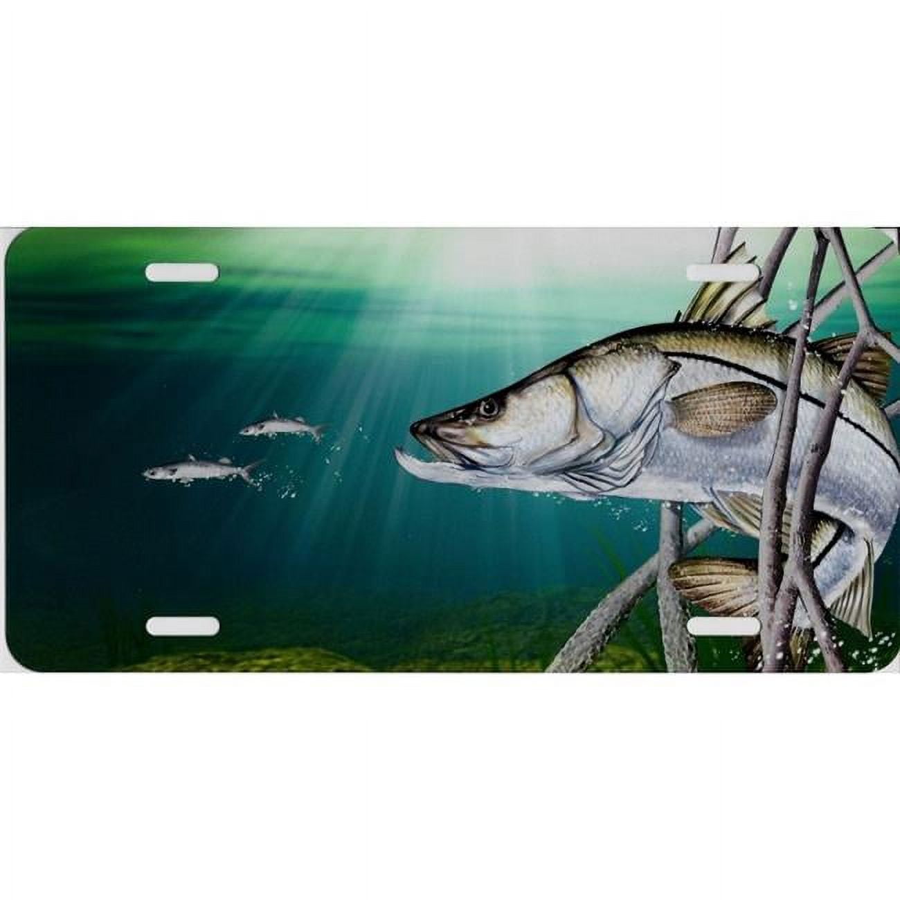 212 Main T2476J 6 x 12 in. Snook Fish Airbrush License Plate - Walmart.com