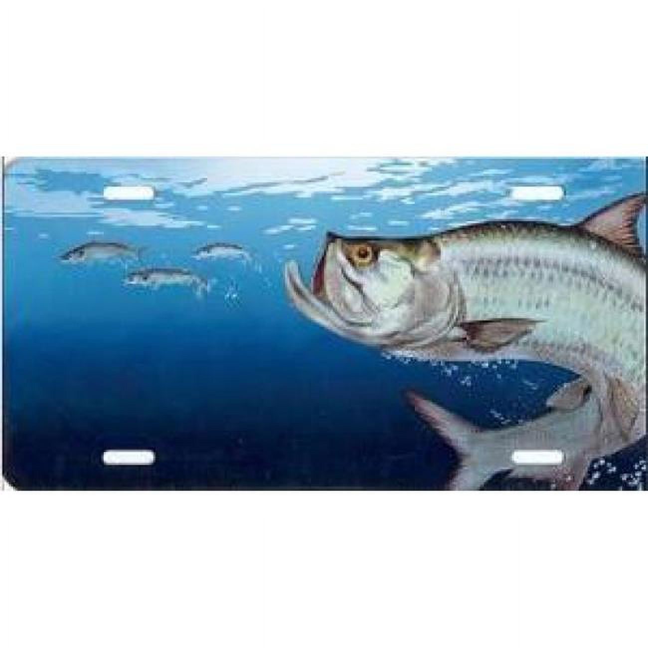 212 Main T2479J 6 x 12 in. Tarpon Fish License Plate, Free ...