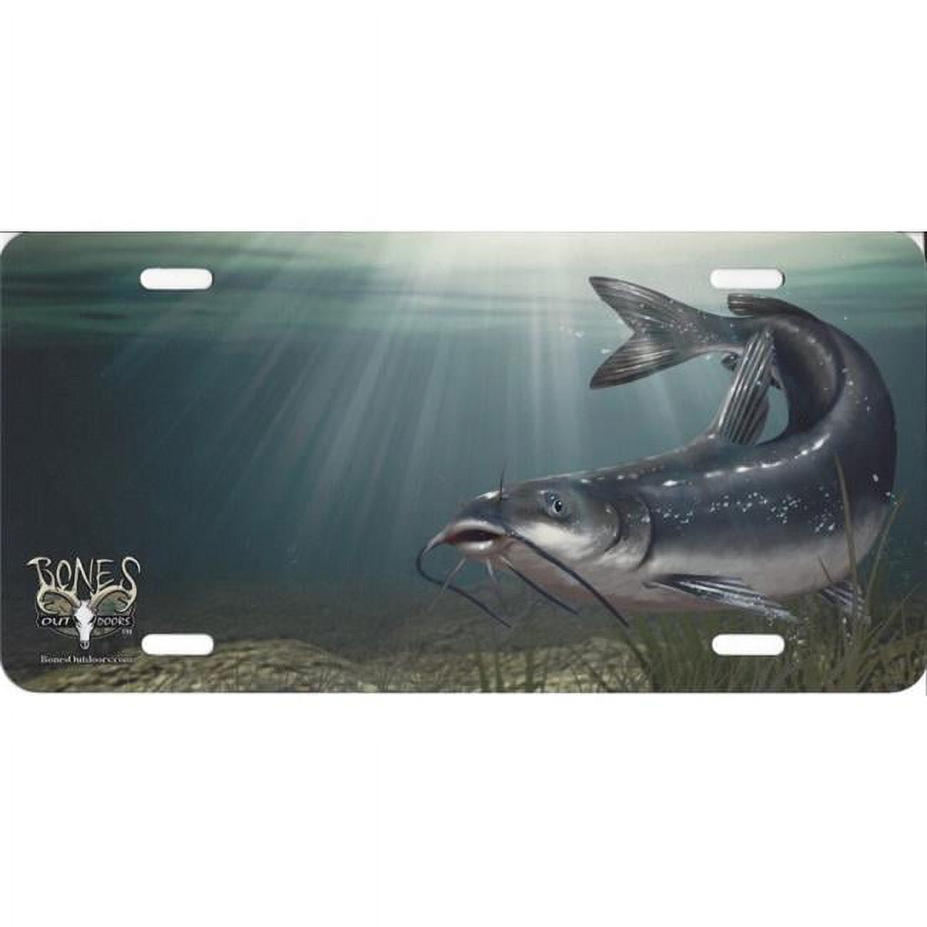 212 Main T2492BO 6 x 12 in. Channel Cat Fish License Plate - Walmart.com