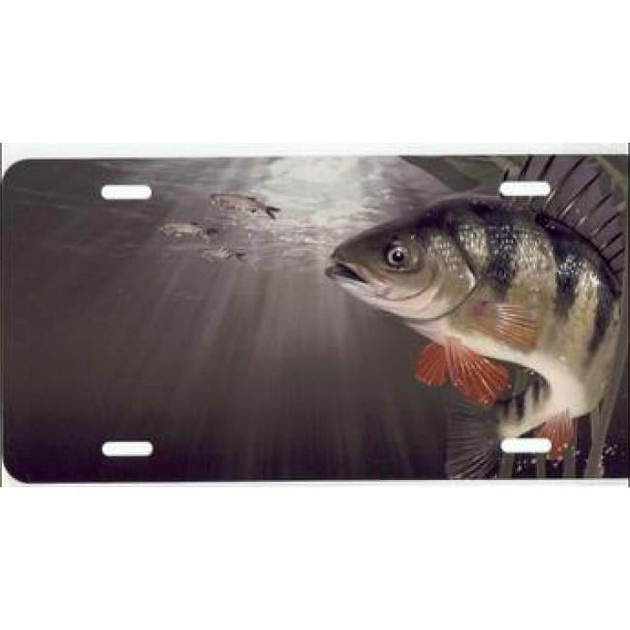 212 Main T2494YP 6 x 12 in. Yellow Perch Fish License Plate, Free ...