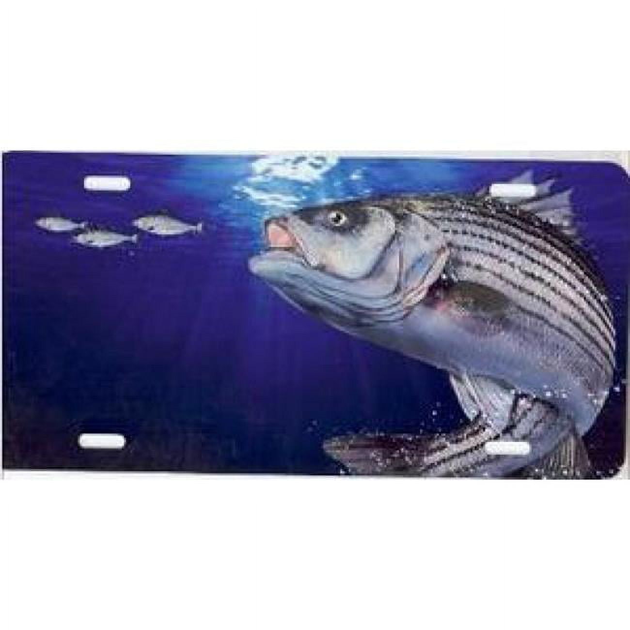 212 Main T2498J 6 x 12 in. Striped Bass Fish License Plate, Free ...