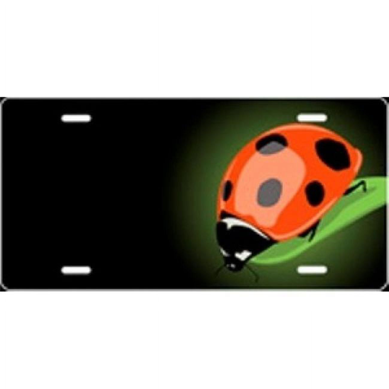 212 Main T3121LB 6 x 12 in. Ladybug Offset Airbrush License Plate, Free ...